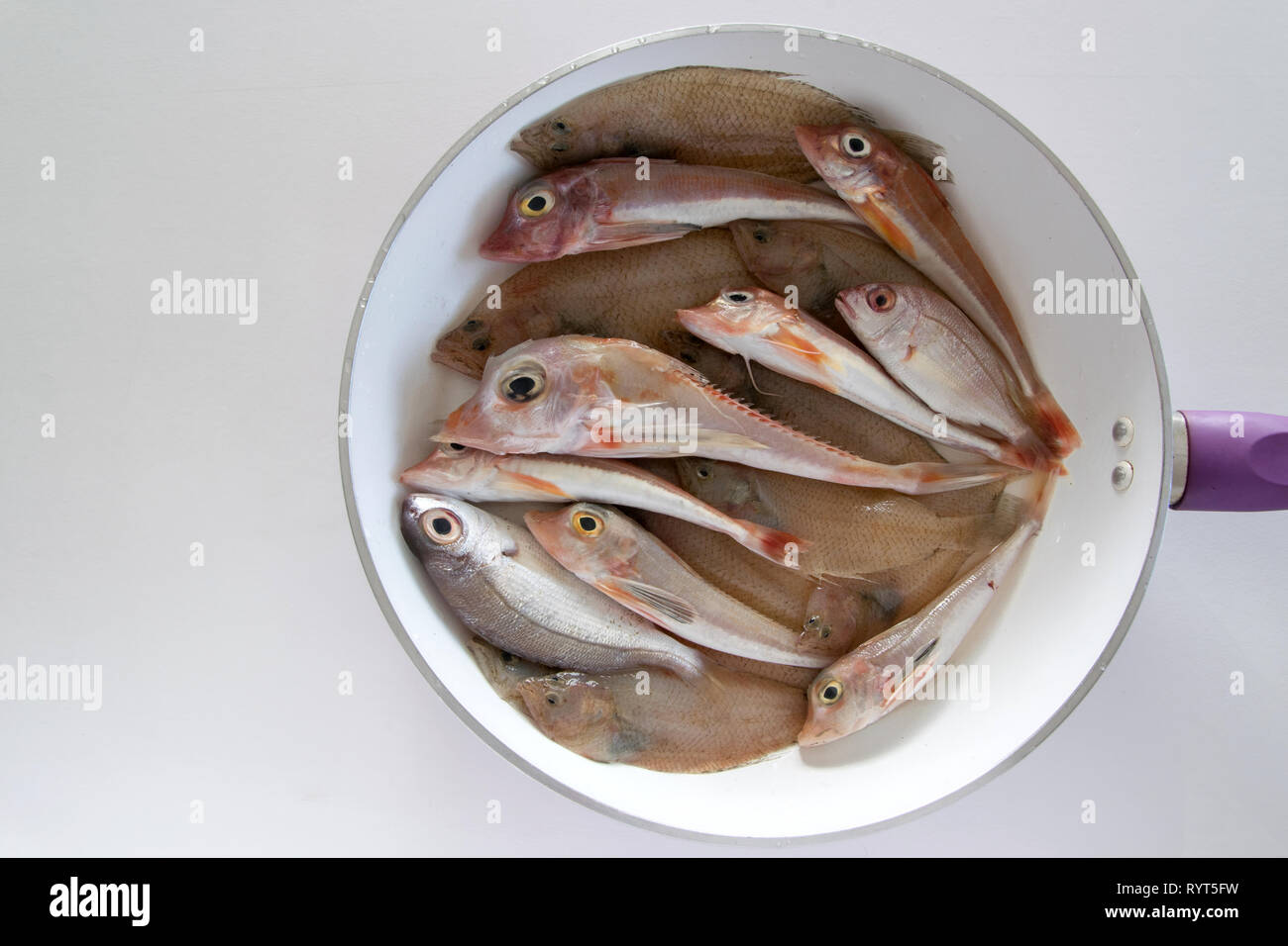 Gurnard fish cooked hi-res stock photography and images - Alamy