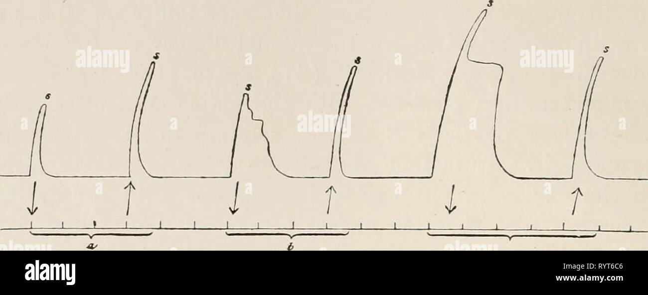 Kymograph hi-res stock photography and images - Alamy