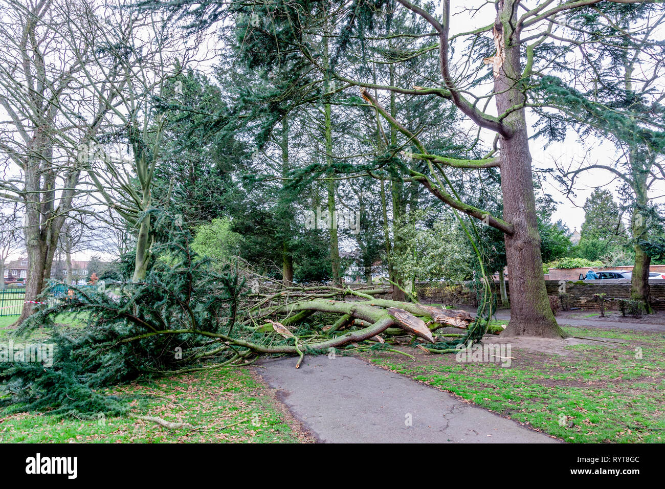 Northampton. U.K. 15th March 2019. Gale force winds overnight bring ...