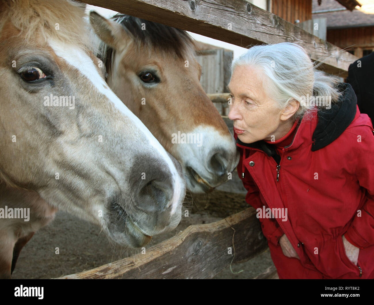 Understanding jane hi-res stock photography and images - Alamy