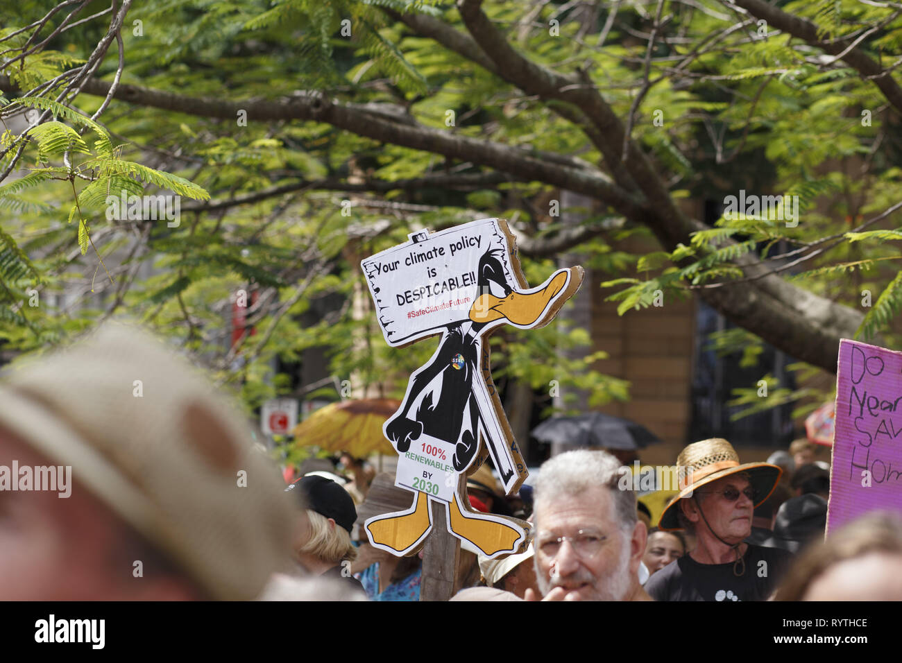 Brisbane, Queensland, Australia. 15th Mar, 2019. A duck placard seen ...