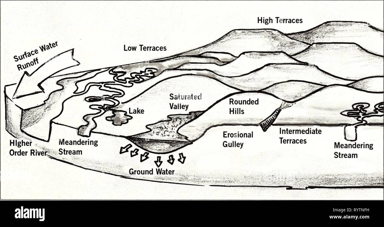 Alluvial Soil Formation
