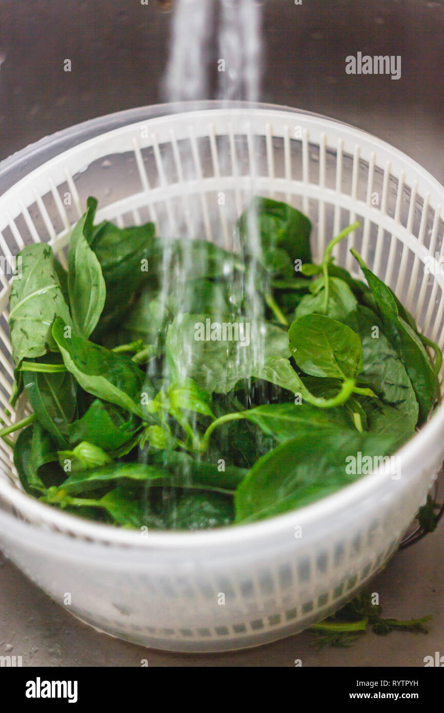 Washing basil hi-res stock photography and images - Alamy