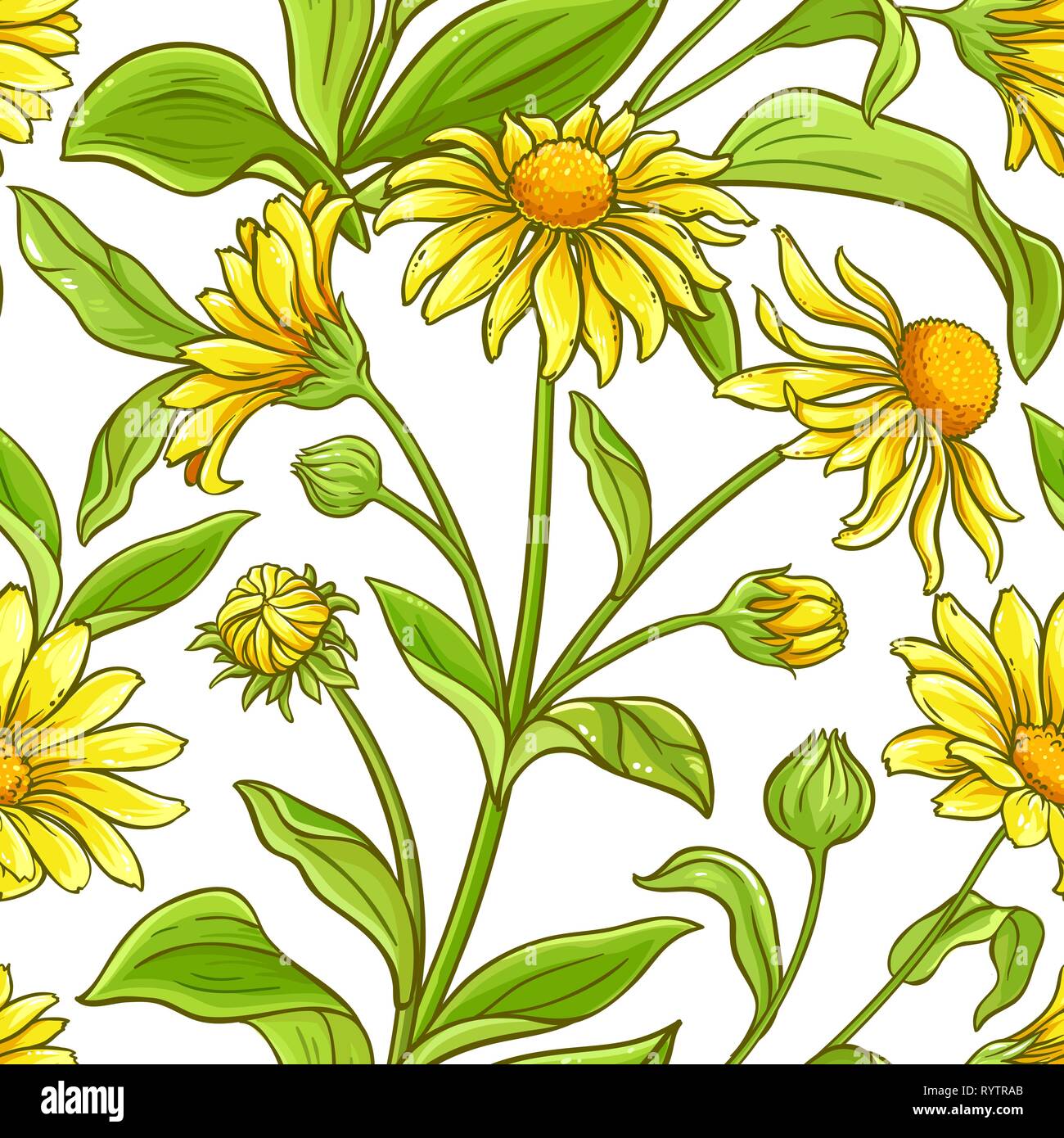 Vector vectors arnica hi-res stock photography and images - Alamy