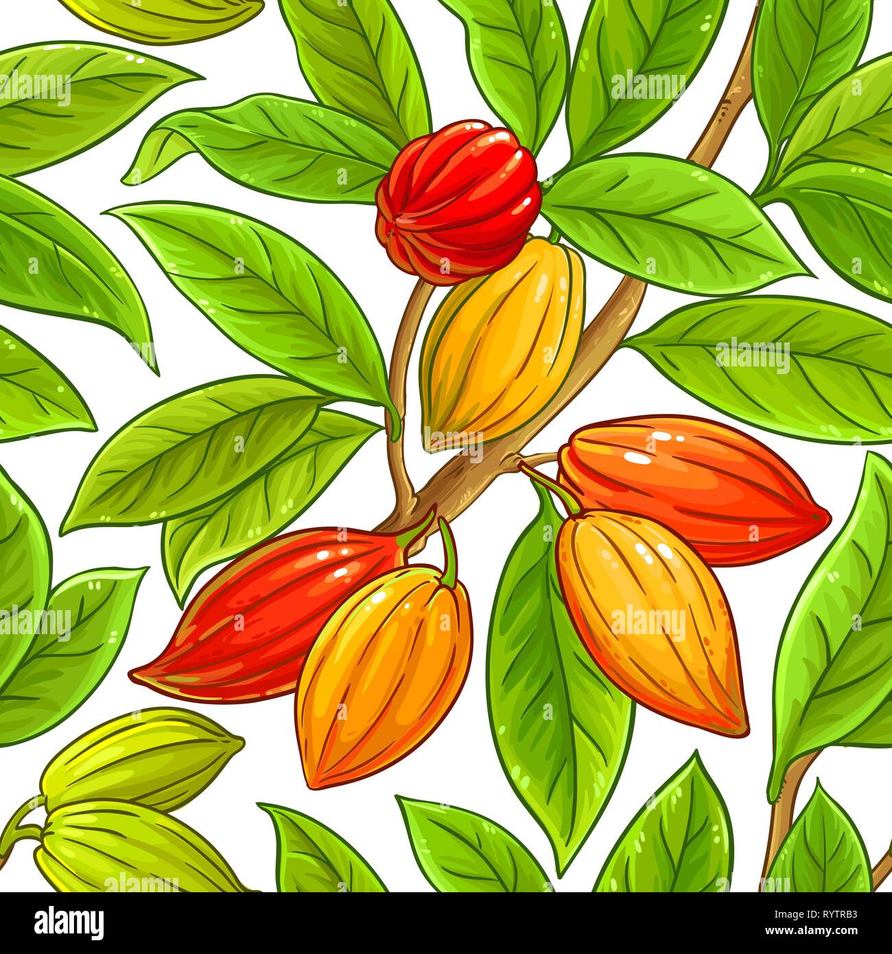 cocoa vector pattern on white background Stock Vector Image & Art - Alamy