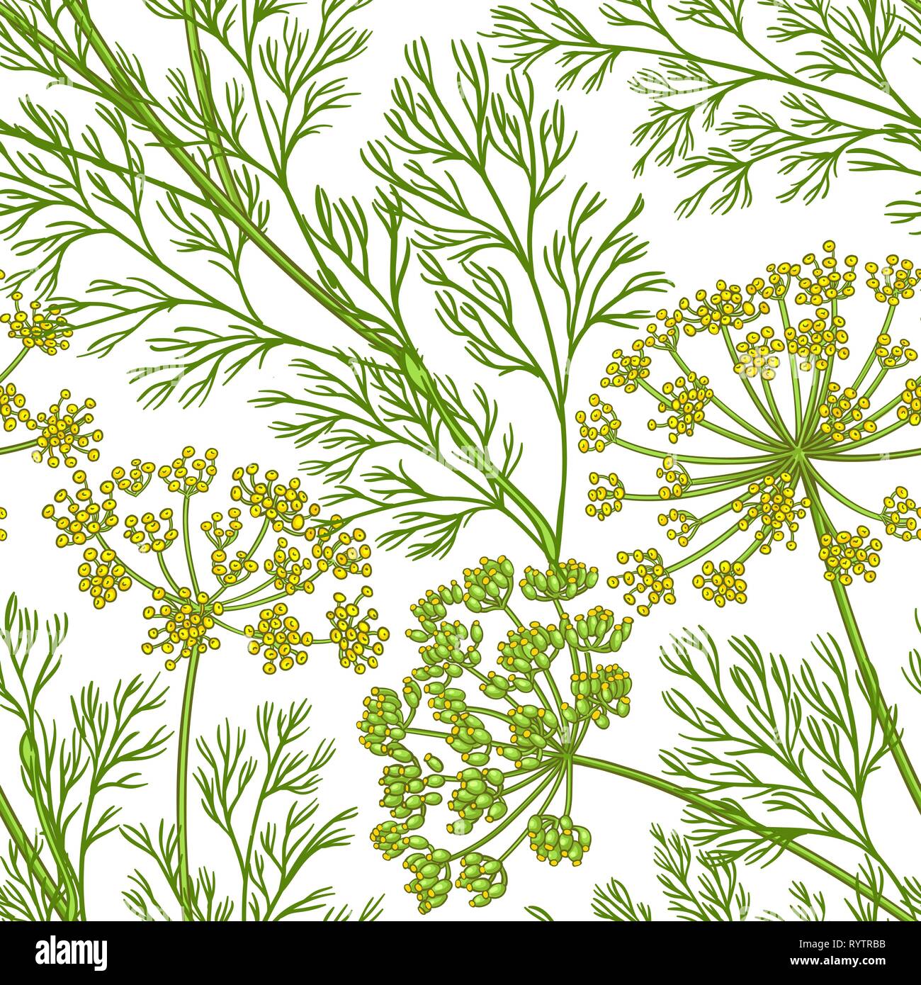 dill vector pattern on white background Stock Vector Image & Art - Alamy