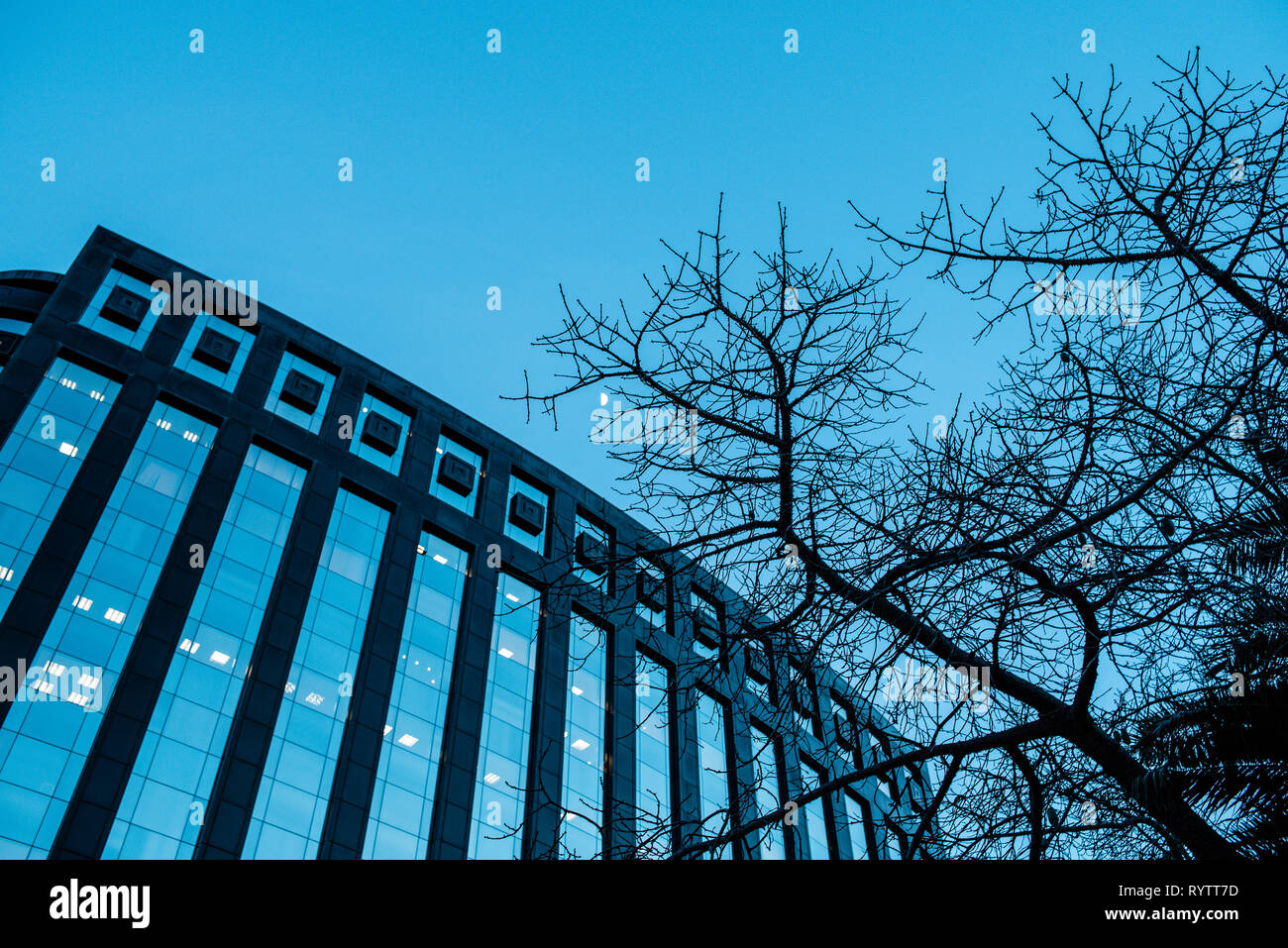 Modern office building with tree branches framing it and cool tones ...