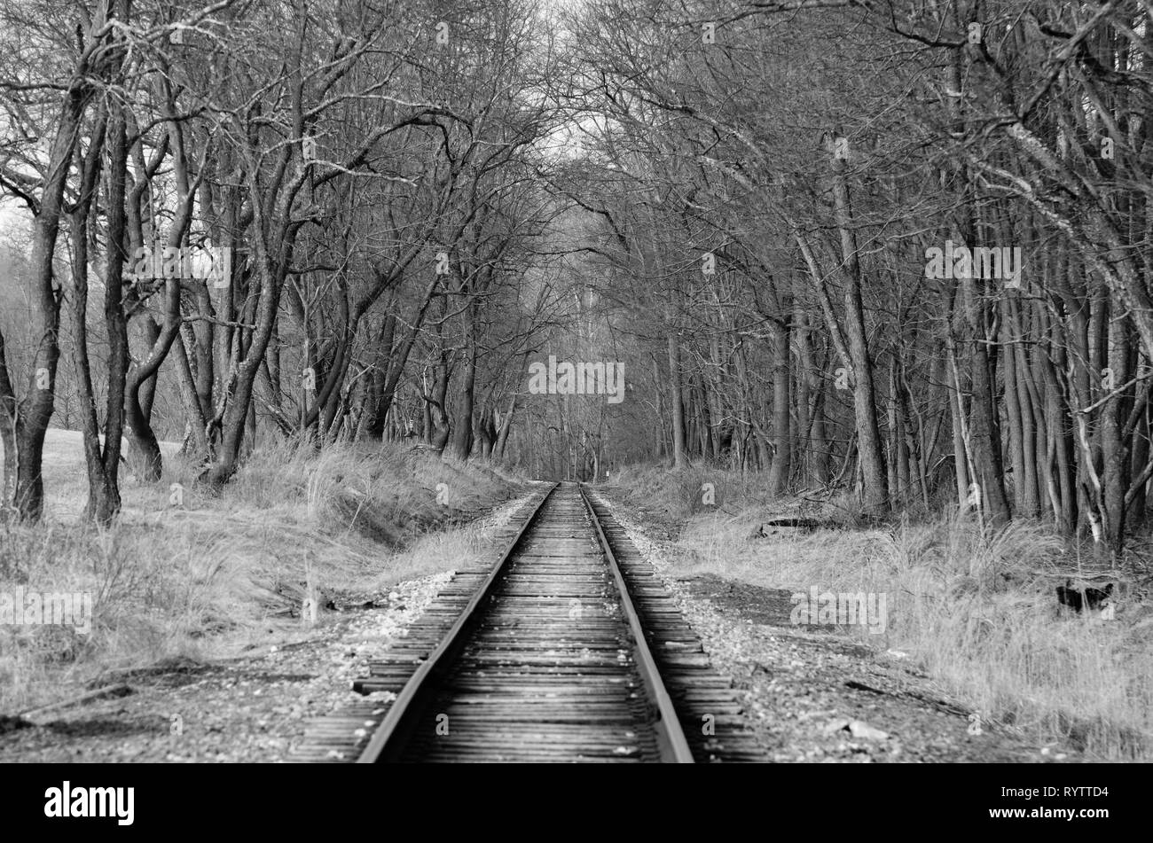 Rail Road Tracks Stock Photos & Rail Road Tracks Stock Images - Alamy