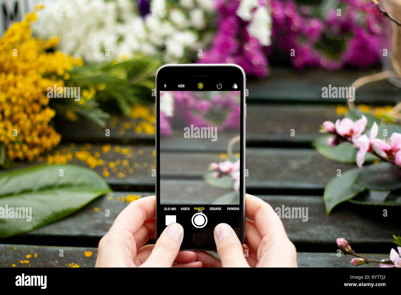 Primaveral hi-res stock photography and images - Alamy