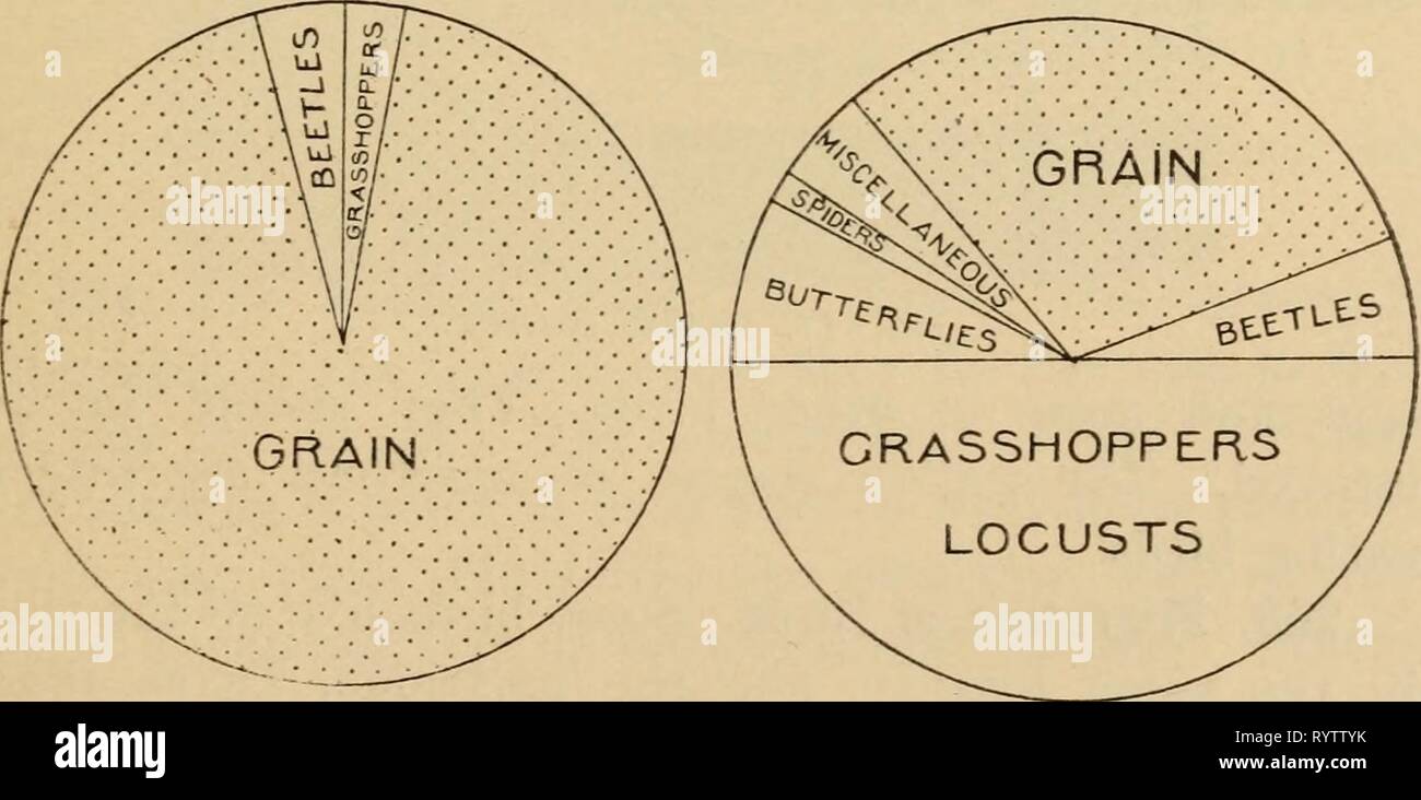 Elementary principles of agriculture; a 20603626483 o.jpg Stock Photo ...
