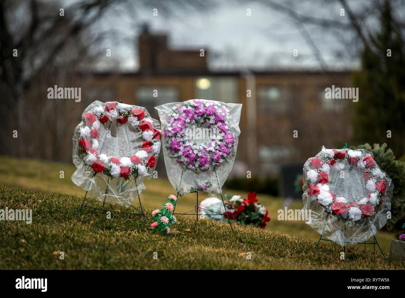 Prospect Cemetery in Toronto Stock Photo - Alamy