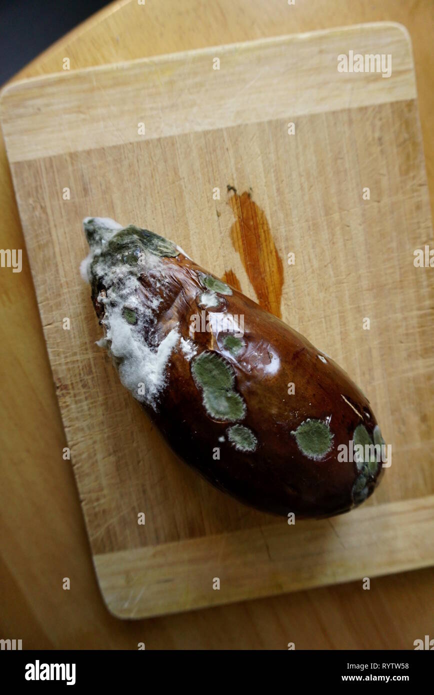 Fungal decay hi-res stock photography and images - Alamy