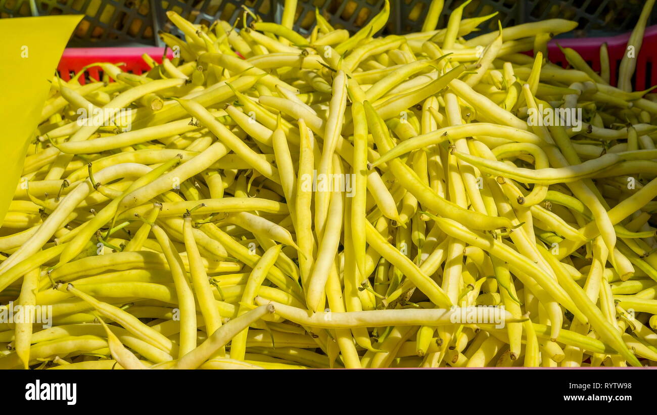 Common bean root hi-res stock photography and images - Alamy