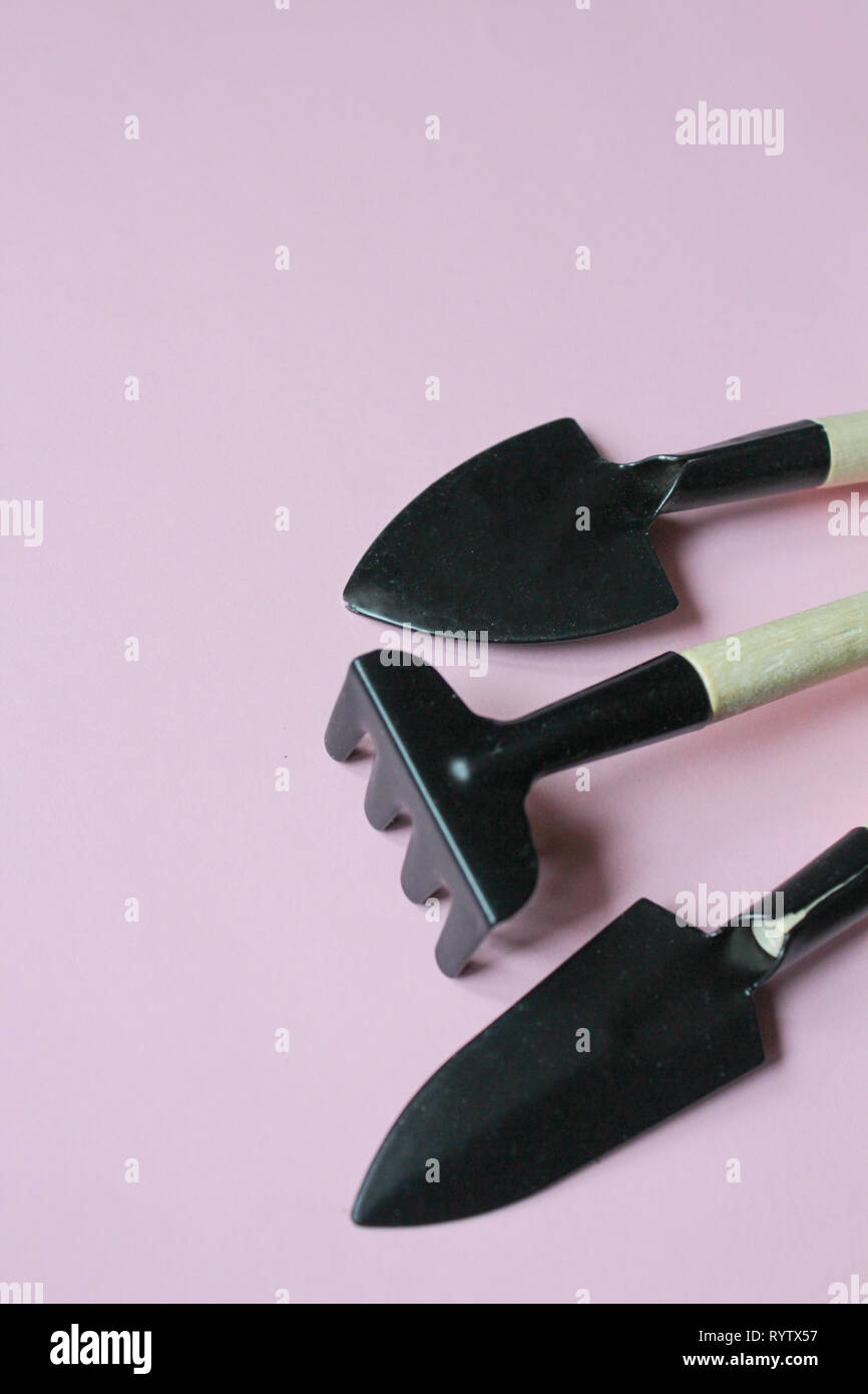 set of garden tools on pink background Stock Photo - Alamy