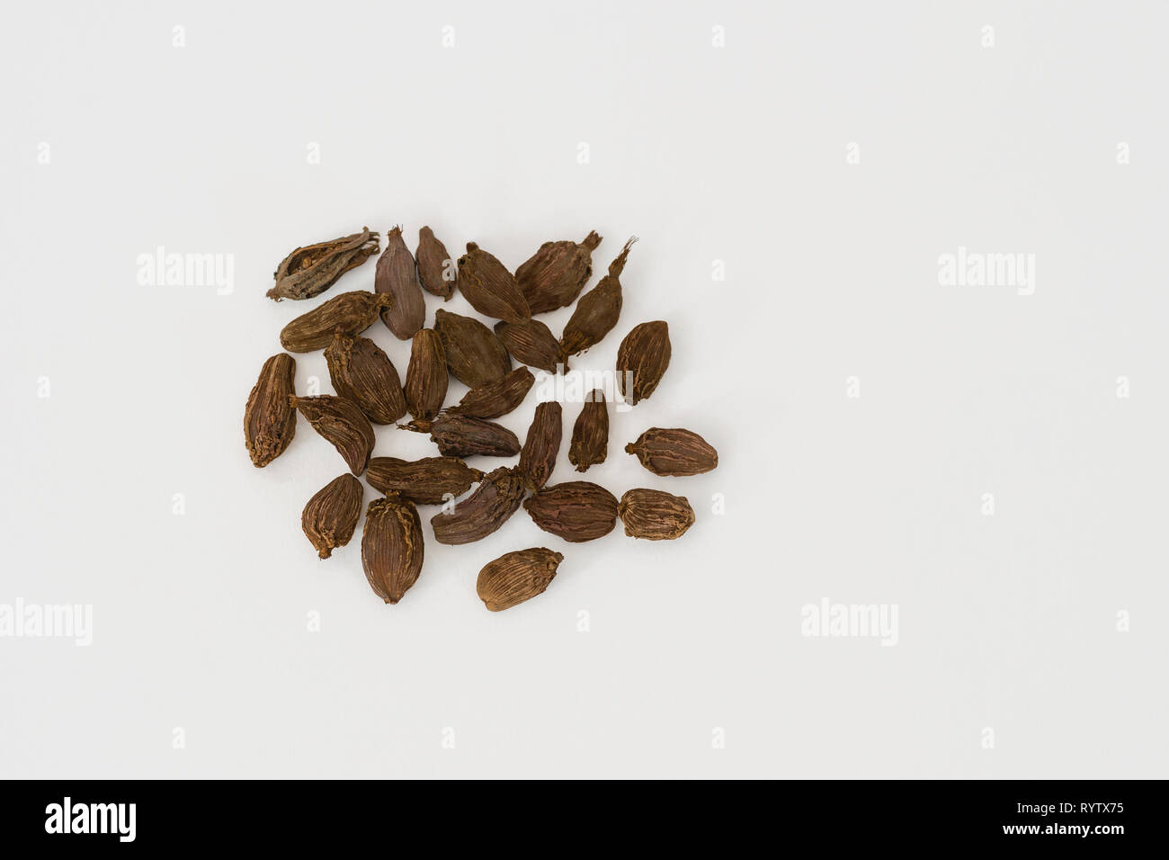 Black cardamom (Amomum subulatum) on a white background Stock Photo - Alamy