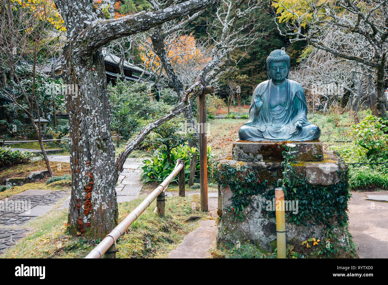 Tokei ji temple hi-res stock photography and images - Alamy