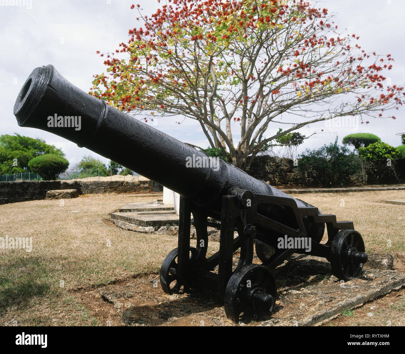 weapons, cannon on the Courland Point, Fort James from 1768, Tobago ...