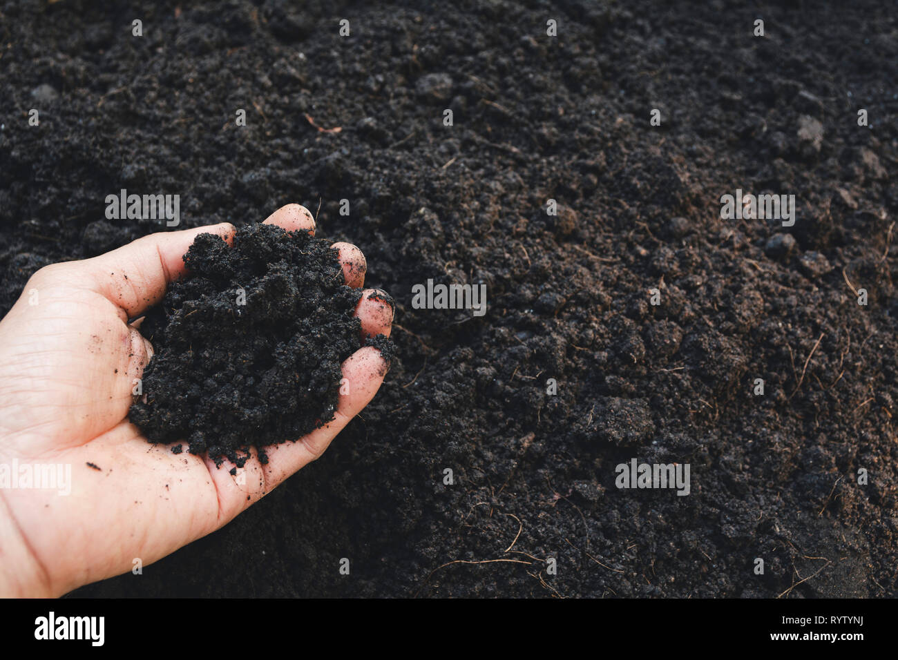 Male holding soil in the hands for planting concept Stock Photo - Alamy
