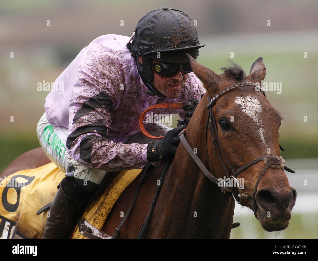 Nico De Boinville And Pentland Hills Win The Jcb Triumph Hurdle Race