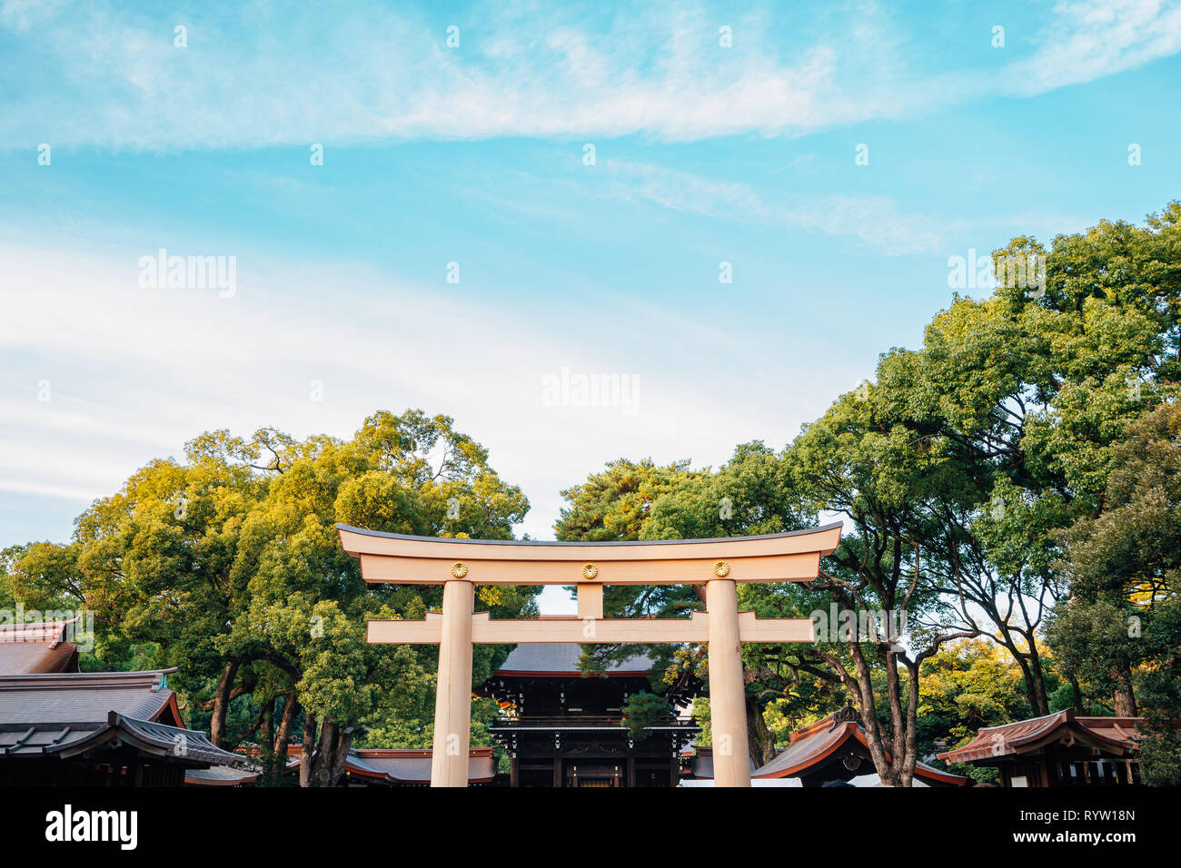 Torii Yoyogi Park Meiji Jingu Shinto Shrine Stock Photos & Torii Yoyogi ...
