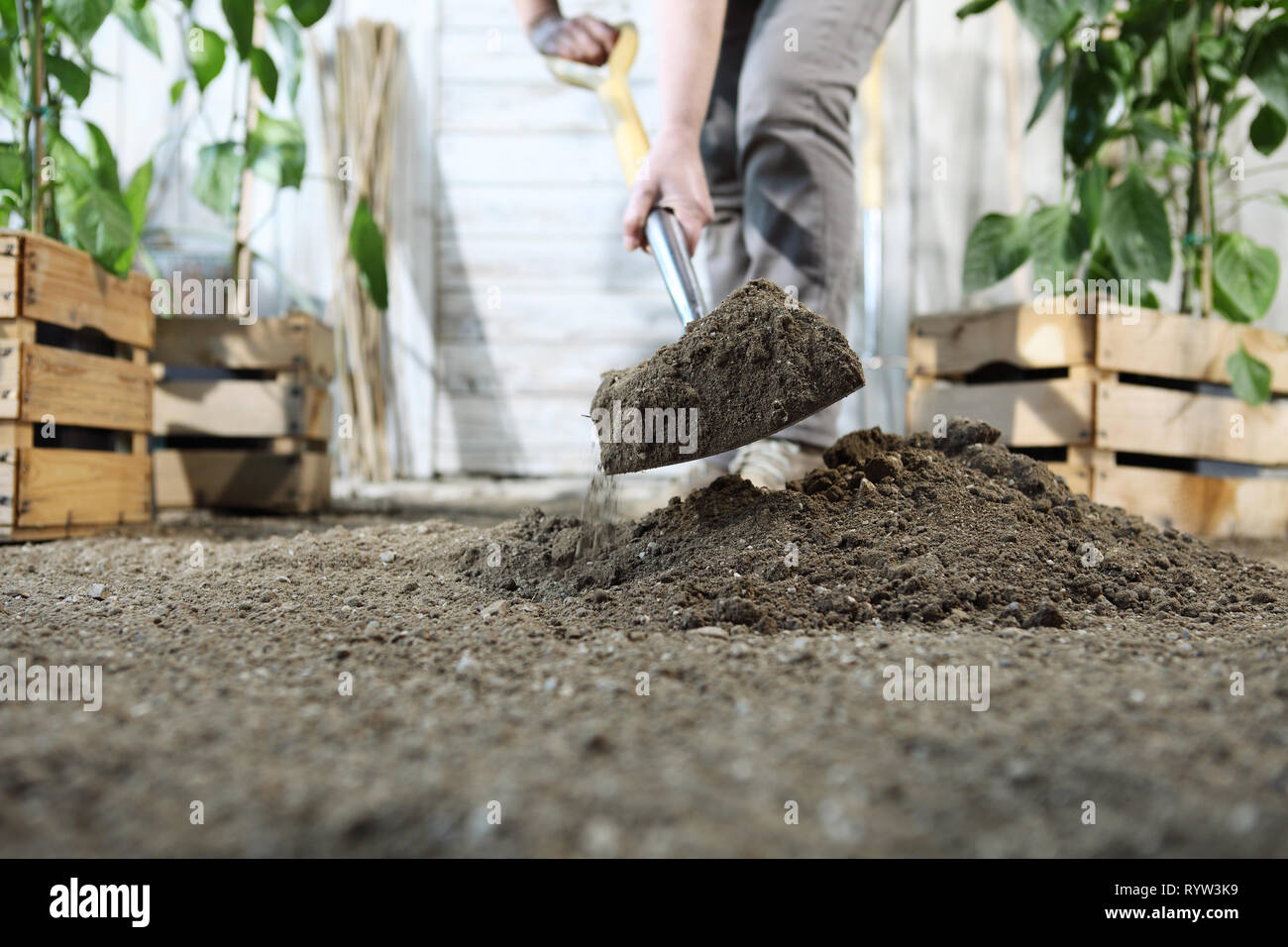 Woman shovel dig digging hi-res stock photography and images - Alamy