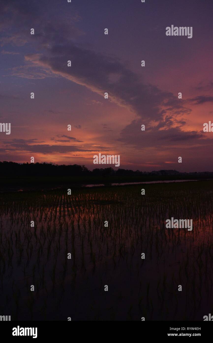 Sunset background in the afternoon Stock Photo - Alamy