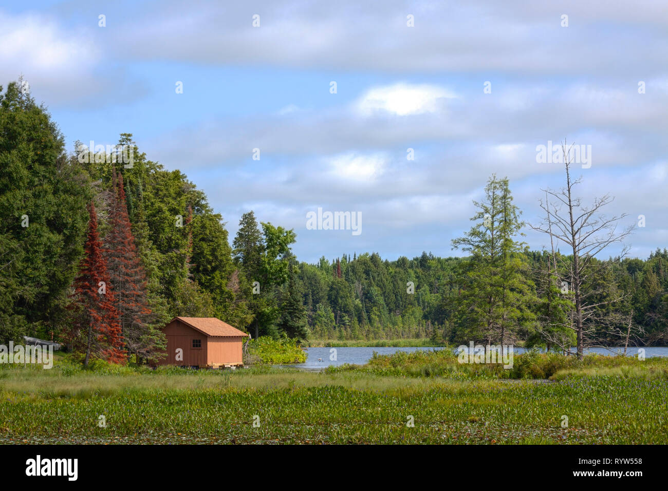 A brown boathouse stands of the edge of a marsh overlooking a lake ...
