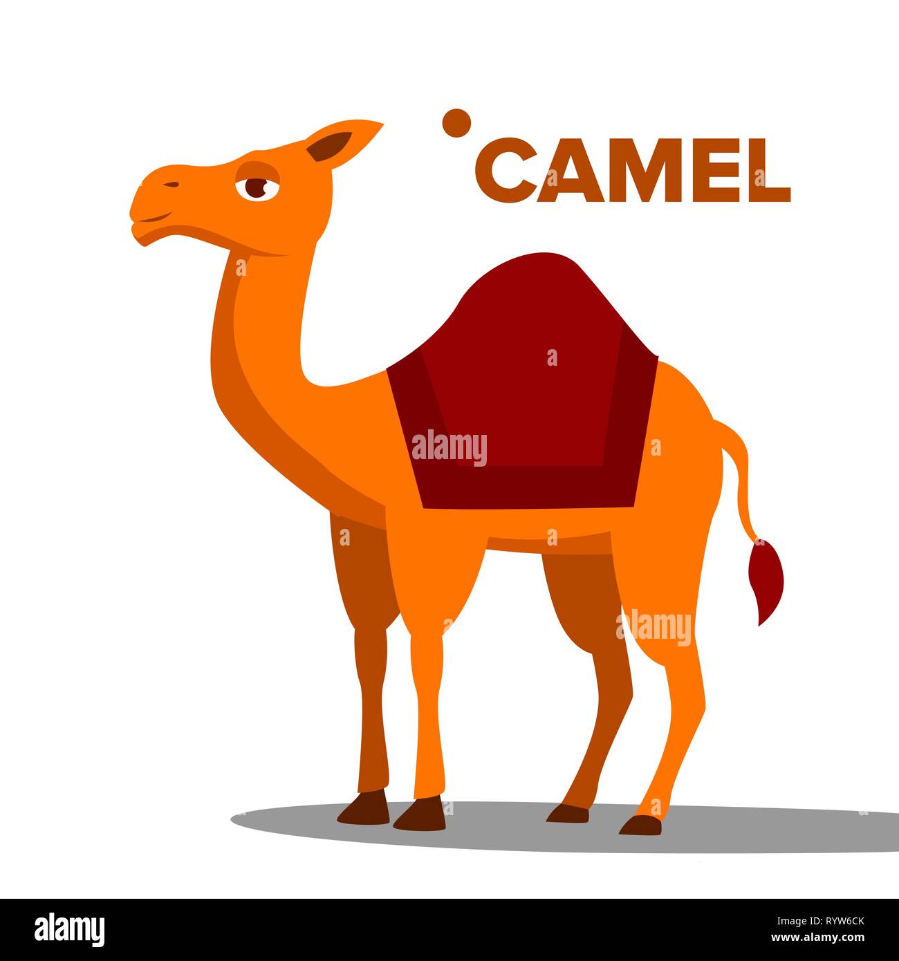 Camel Vector. Funny Animal Isolated Flat Cartoon Illustration Stock ...