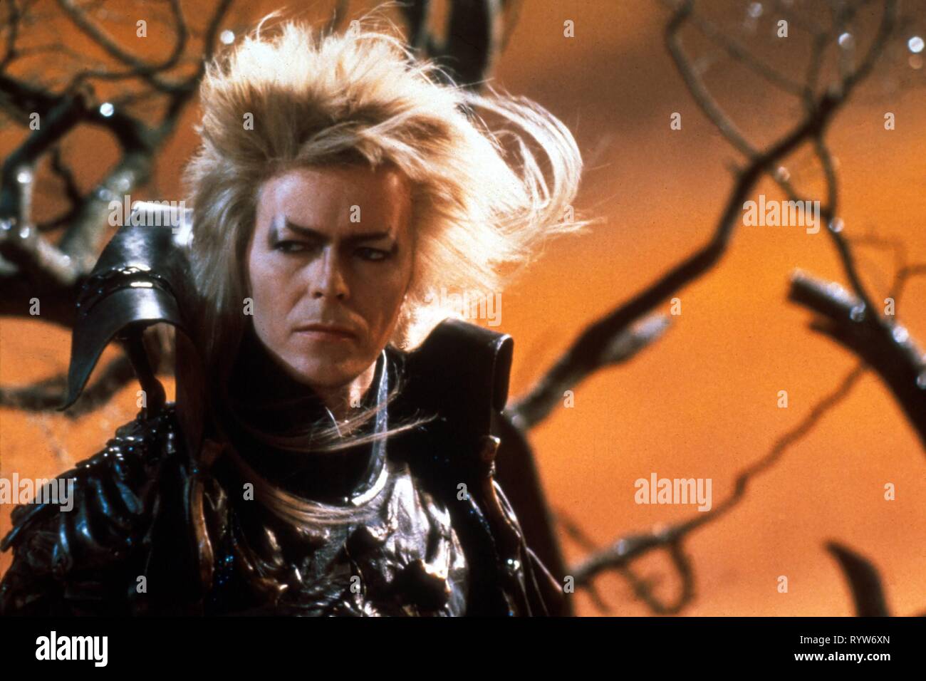 Labyrinthe Year : 1986 UK / USA Director : Jim Henson David Bowie Jim ... Labyrinthe Year : 1986 UK / USA Director : Jim Henson David Bowie Jim ...