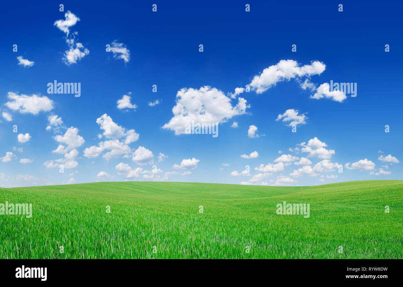 Fields spring blue sky hi-res stock photography and images - Alamy