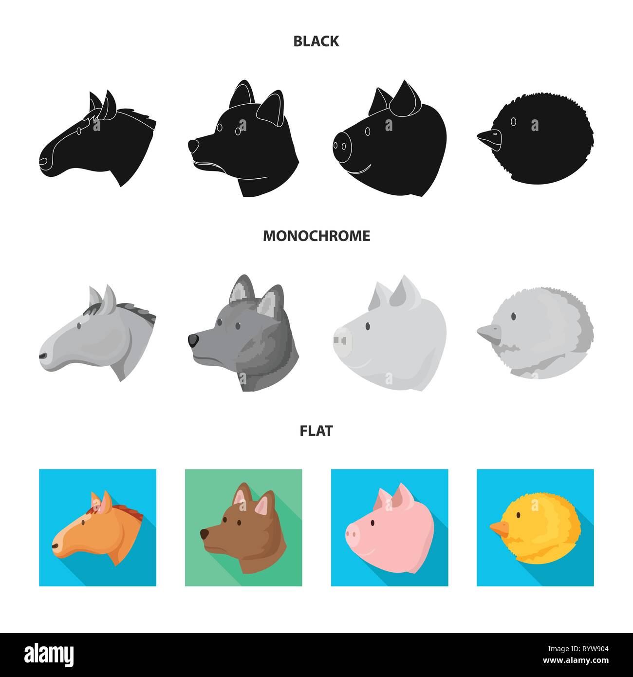 Turkey Trot High Resolution Stock Photography and Images - Alamy