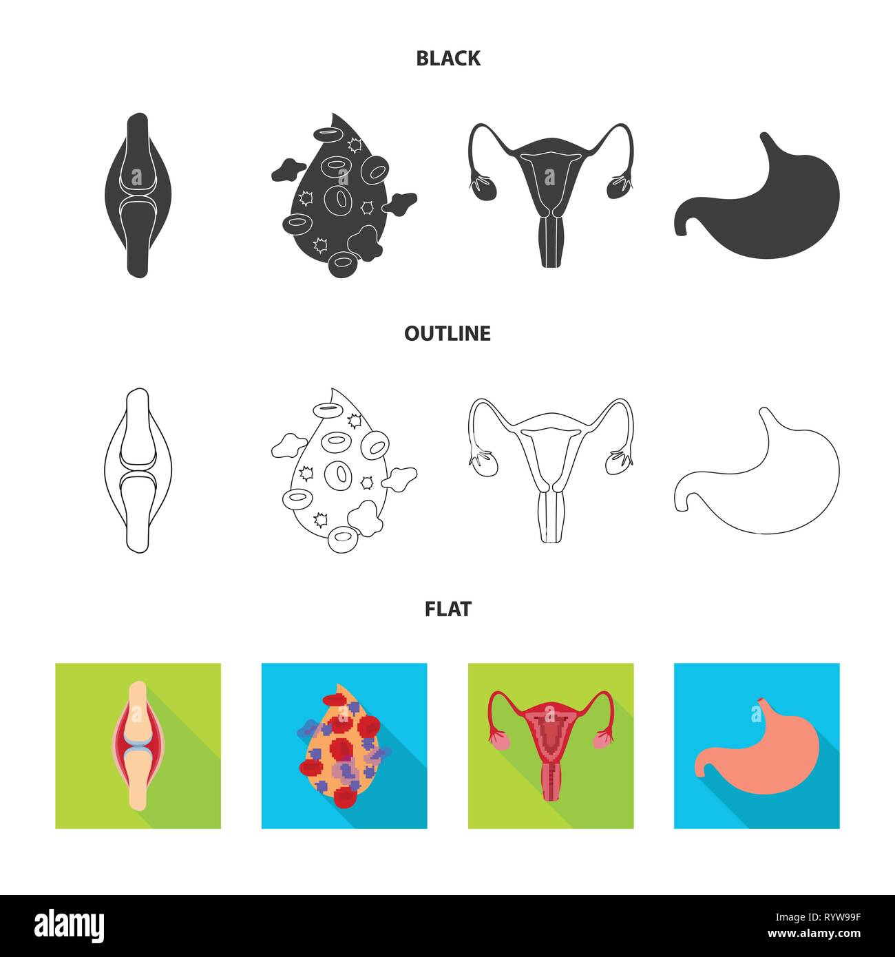 Medical Female Body Outline