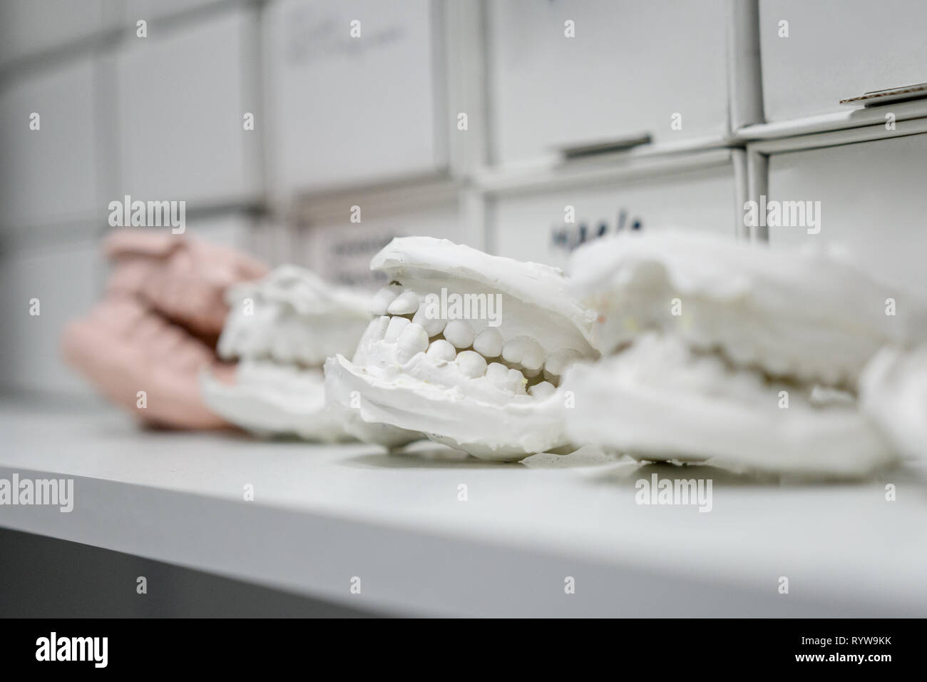 Plaster cast models hi-res stock photography and images - Alamy