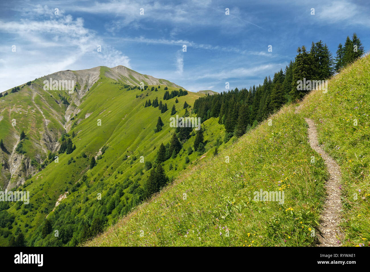 Landscape of the Bauges Massif (French Alps): path leading to the ...