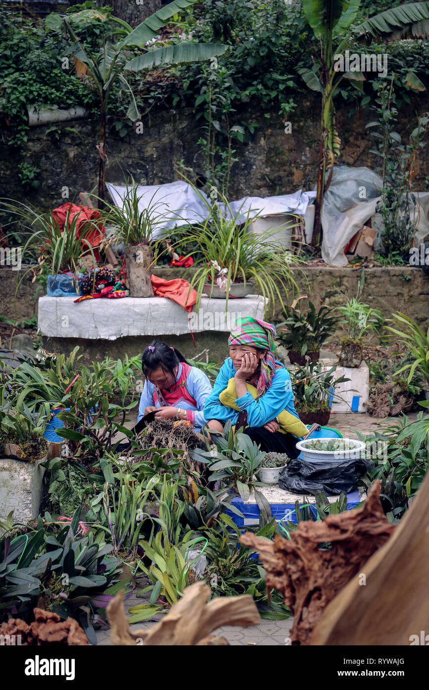 Vietnamese Women at Work Stock Photo - Alamy