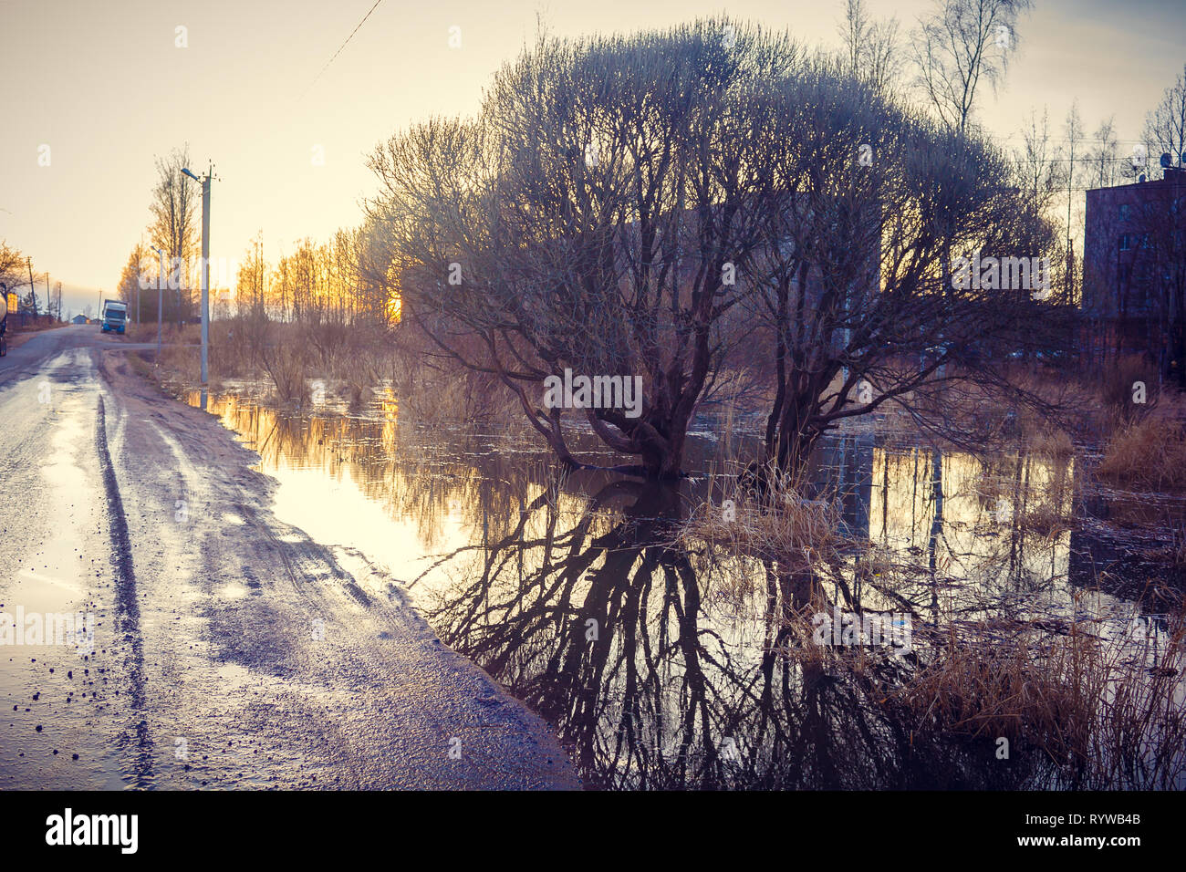 A tree is reflected in a puddle. Spring paintings. Puddles and mud ...