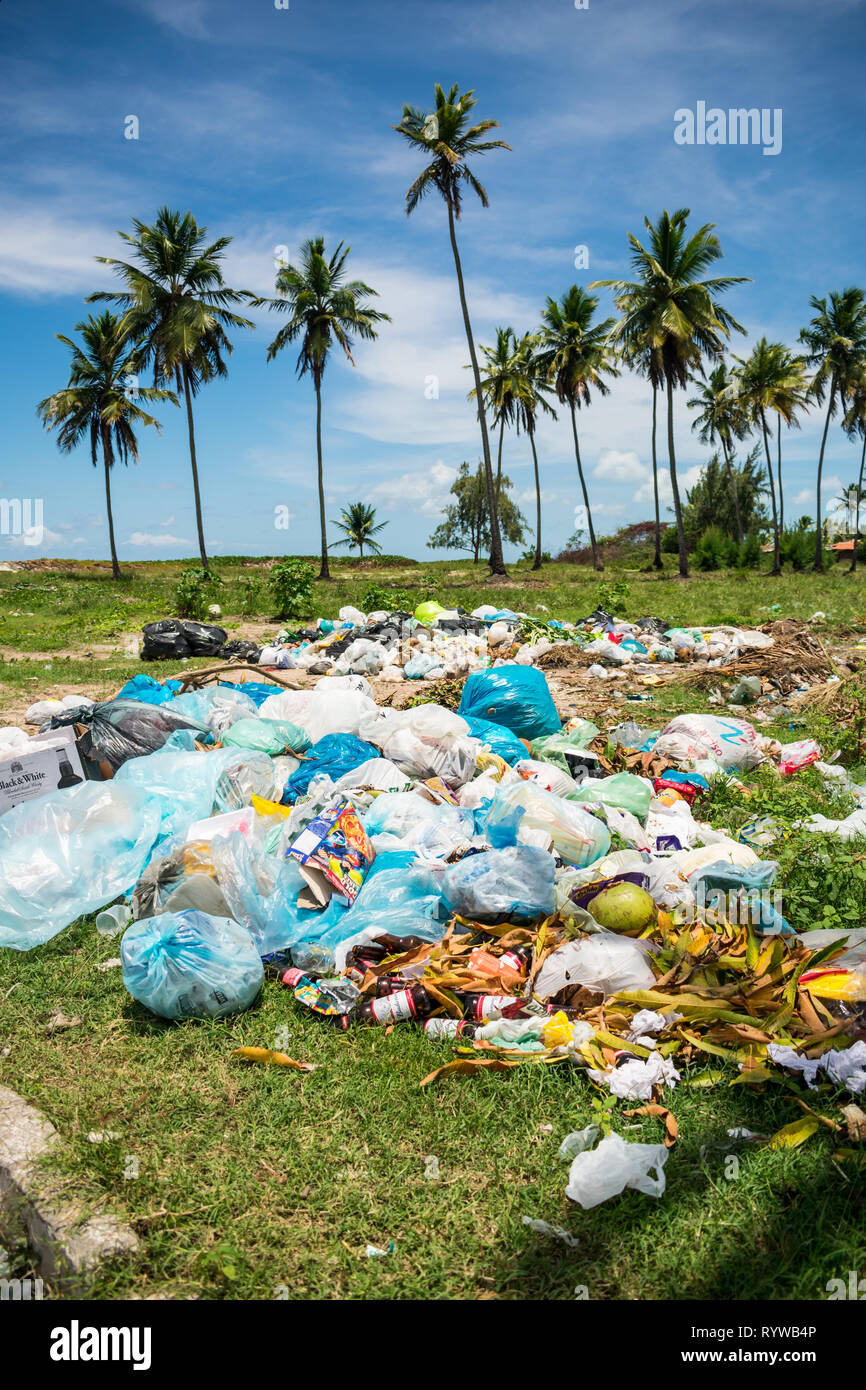 Coconut trash hi-res stock photography and images - Alamy