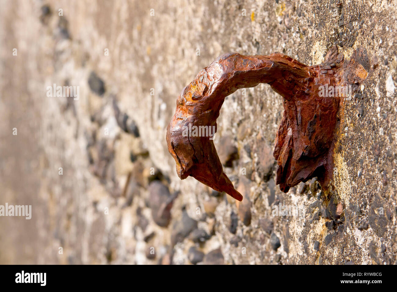 An iron ring attached to a sea wall, now rusted and broken by years of ...