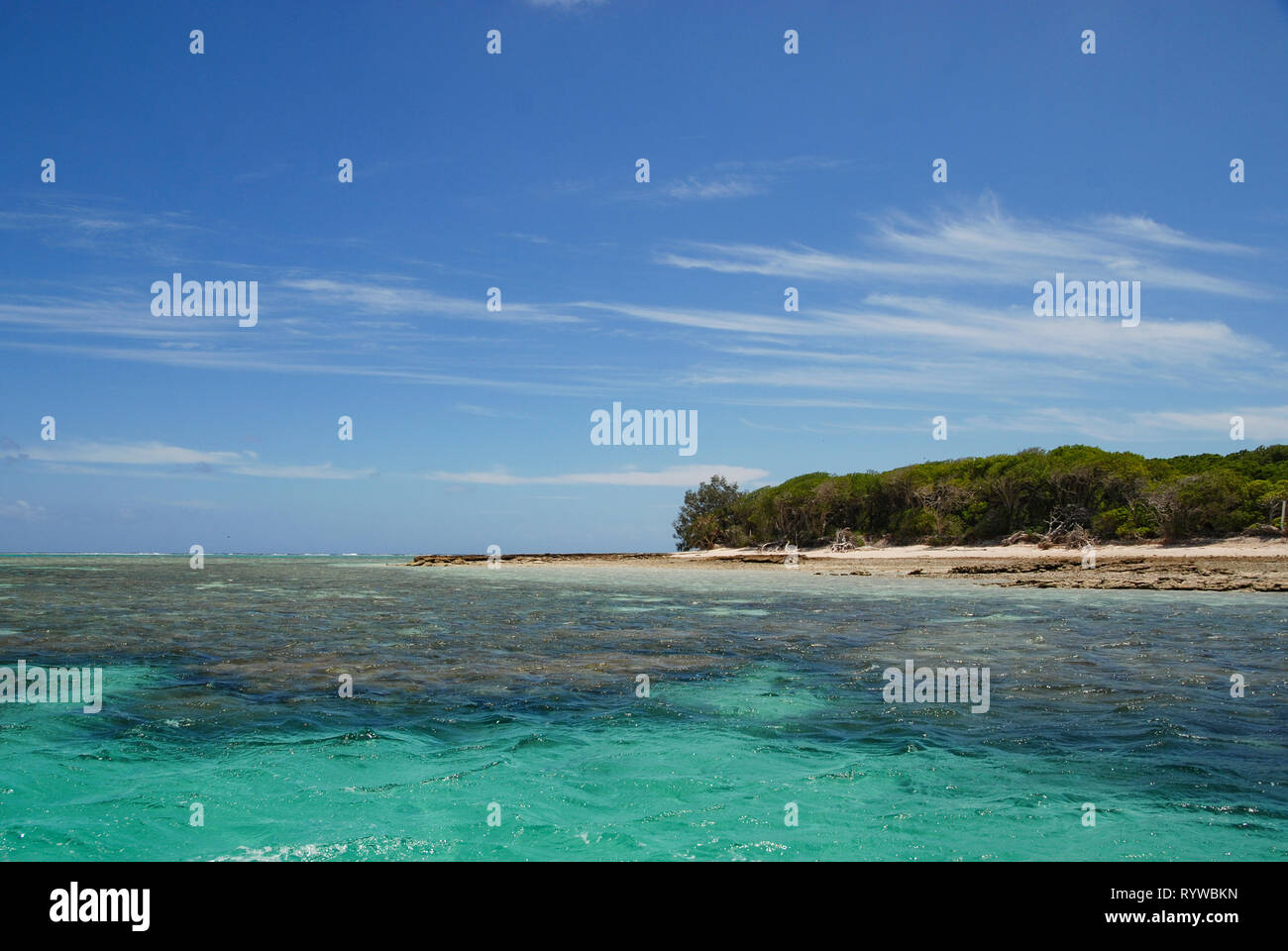 Lady Musgrave Island, Queensland, Australia. 11th Dec, 2012. The Great ...