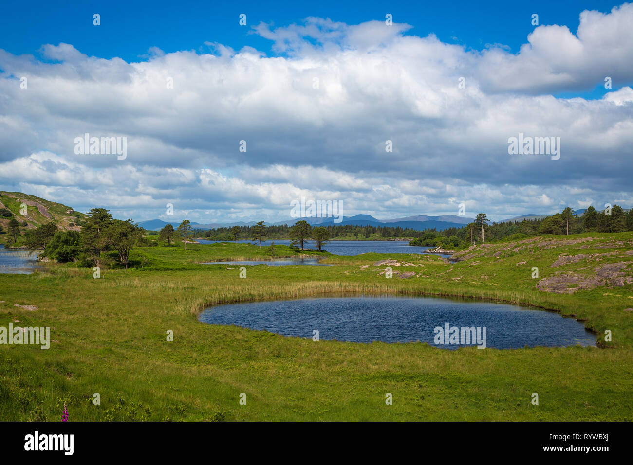 Lough Inchiquin on Beara Peninsula Stock Photo - Alamy
