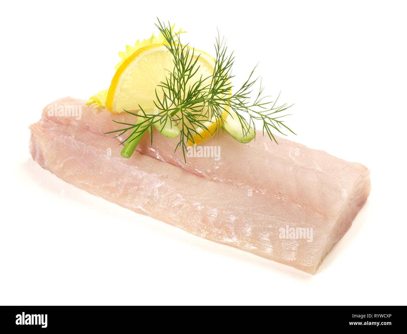 Coalfish - Fish raw on white Background Stock Photo - Alamy