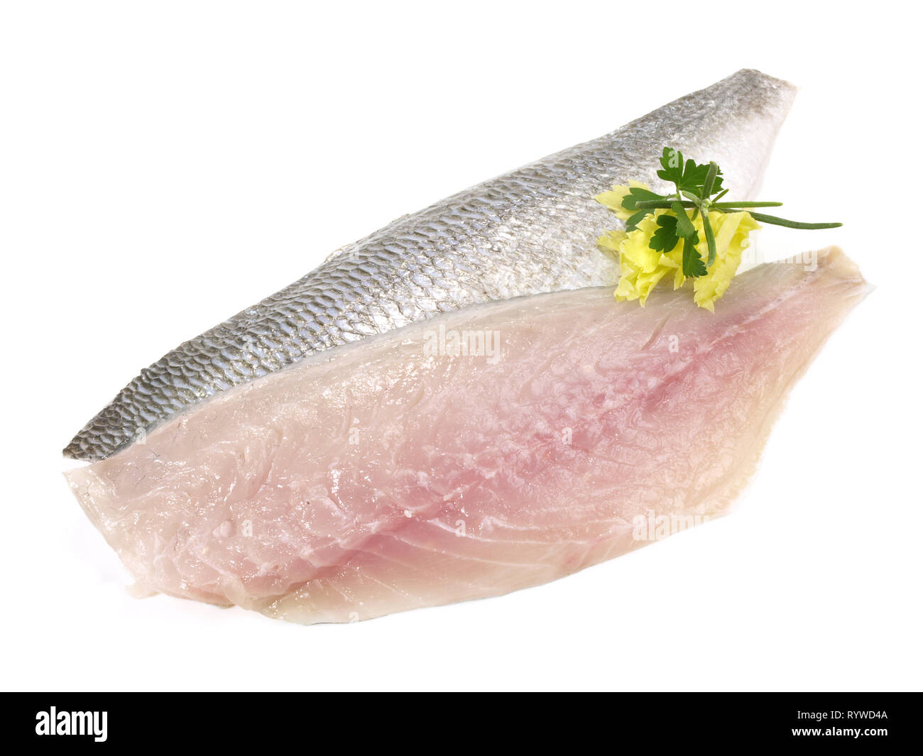 Fish - Gilthead Sea Bream Fillet Stock Photo - Alamy