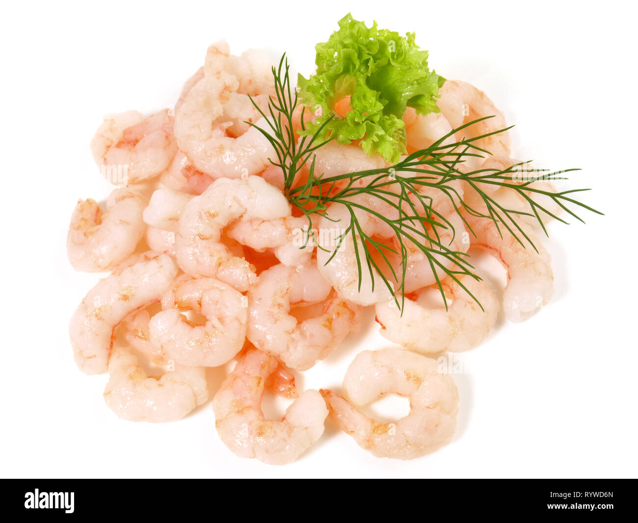 Small shrimp hi-res stock photography and images - Alamy