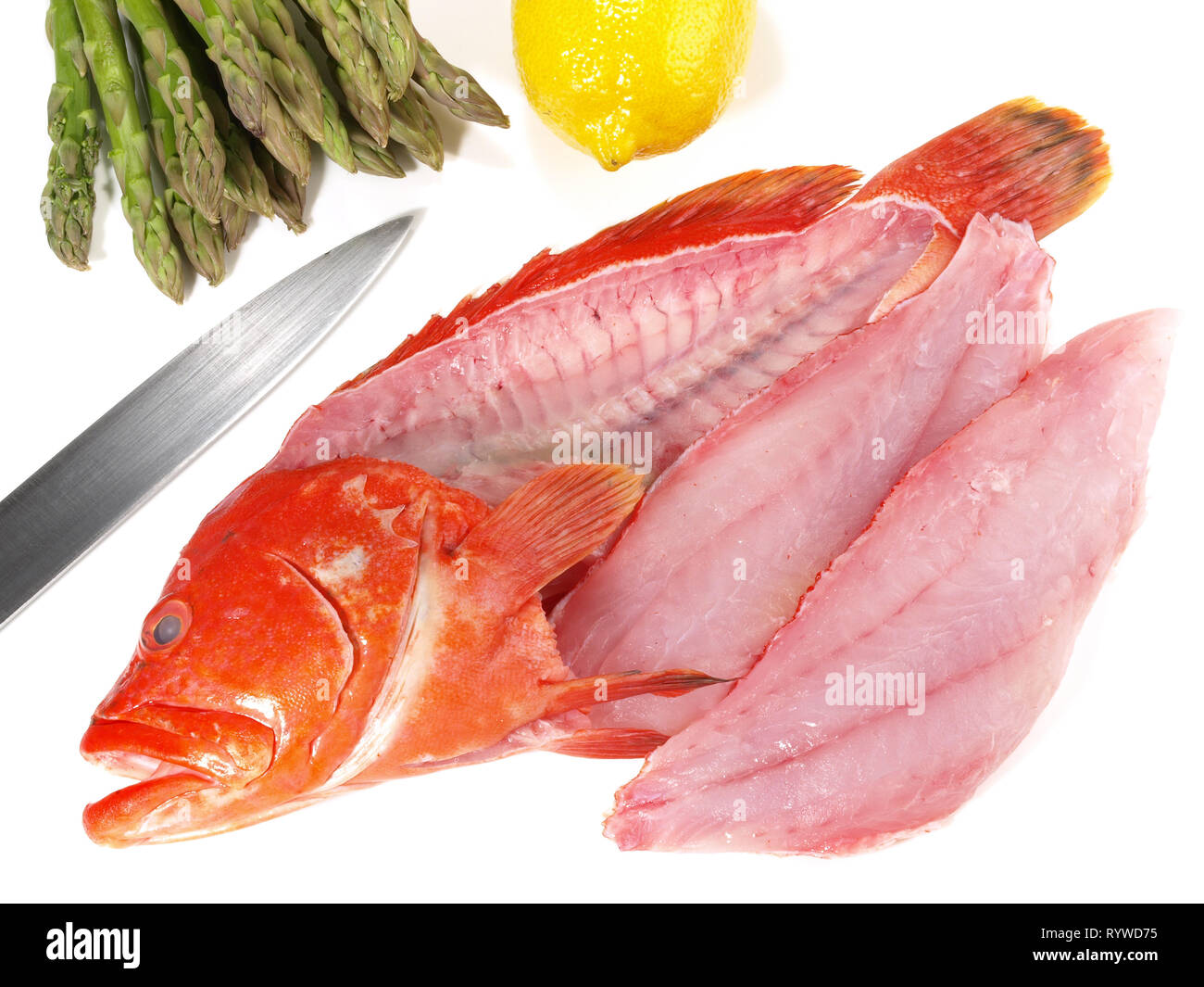 Strawberry grouper fish hi-res stock photography and images - Alamy