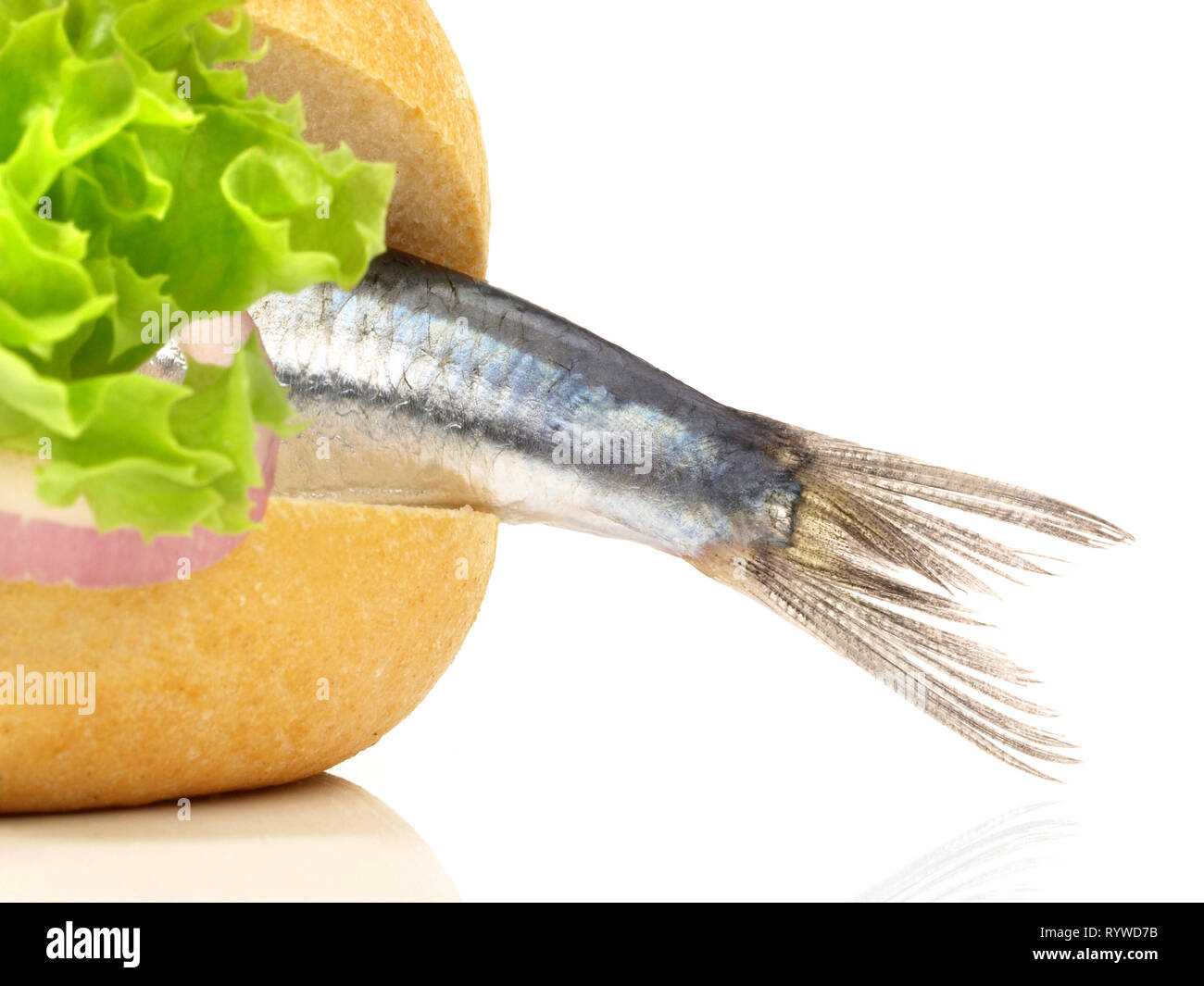 Fish - Herring Bun on white Background Stock Photo - Alamy