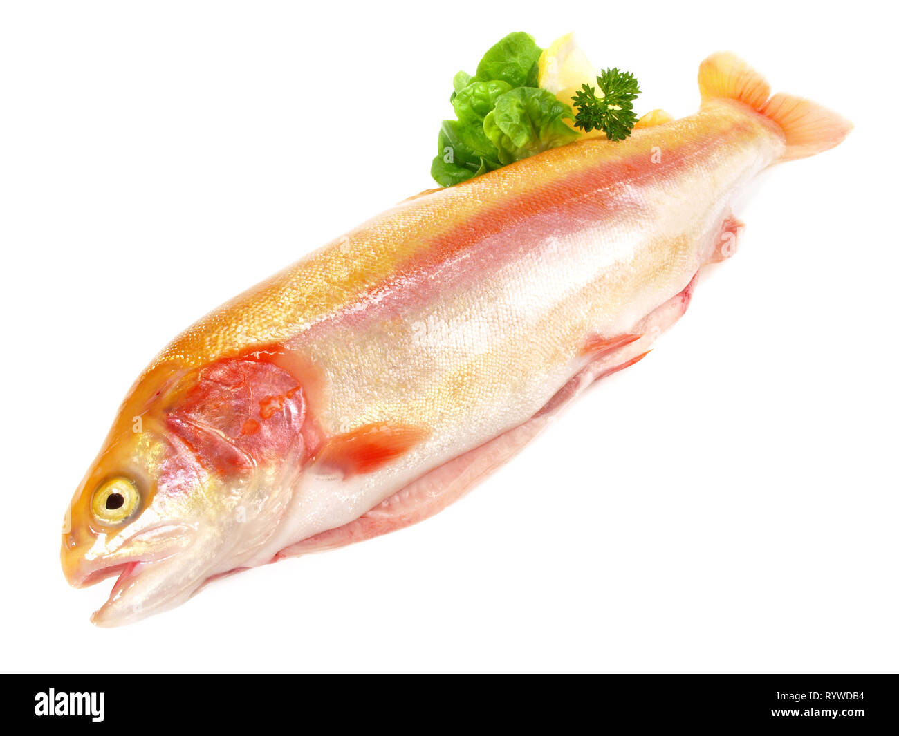 Fresh Fish - Salmon, Trout golden Stock Photo - Alamy