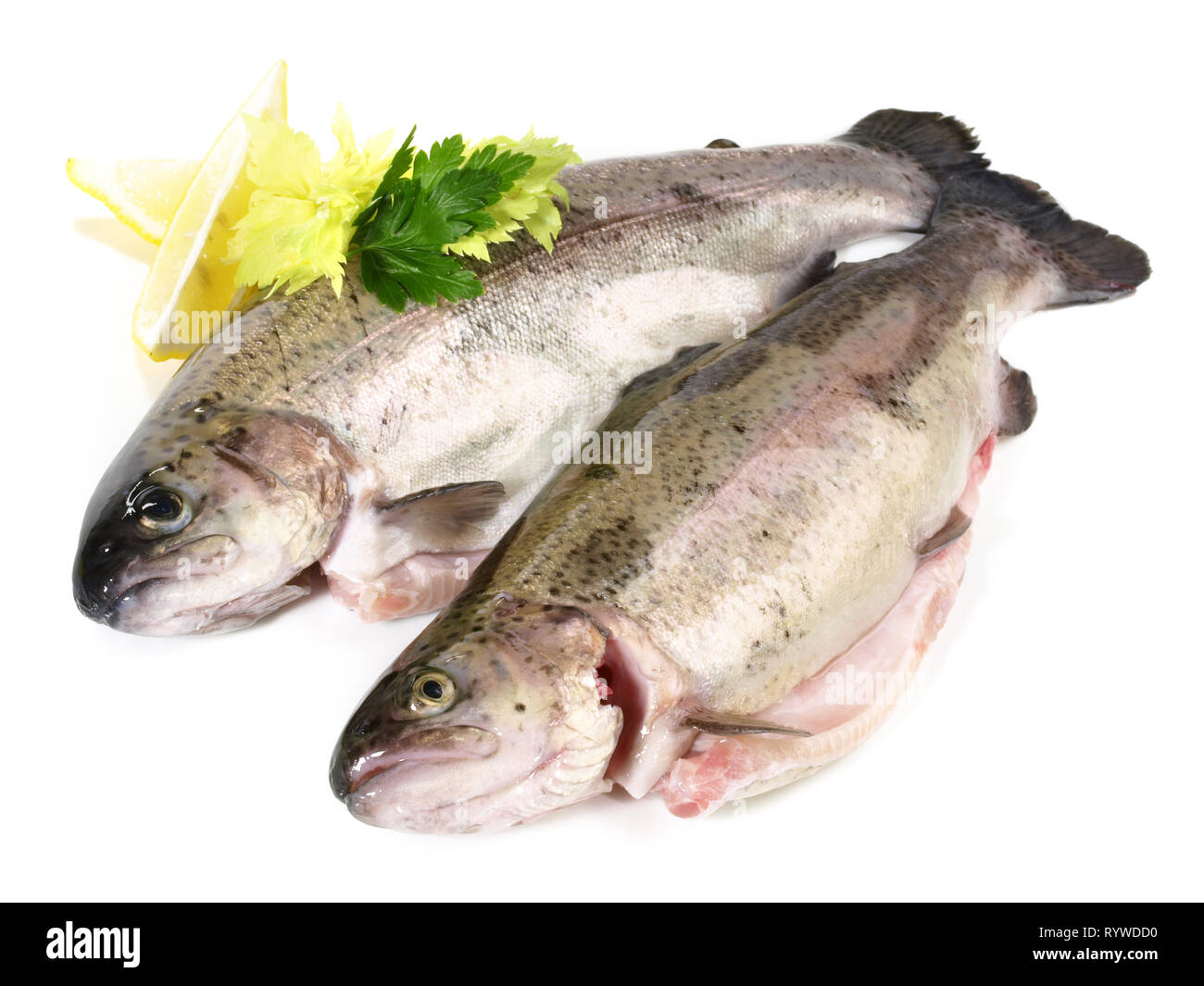 Fresh Fish - Trout Stock Photo - Alamy