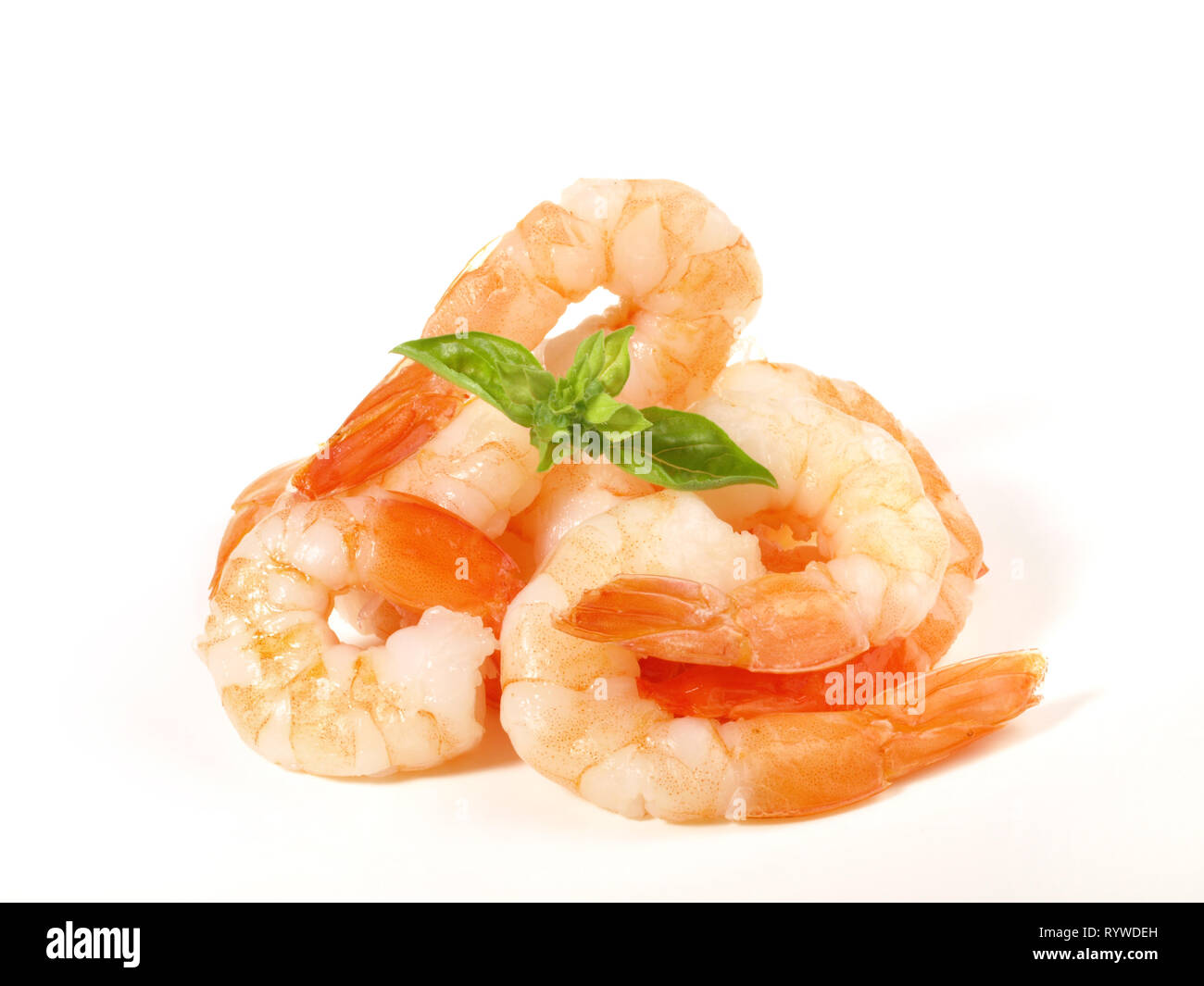 Small Shrimp - Shrimps on white Background Stock Photo - Alamy