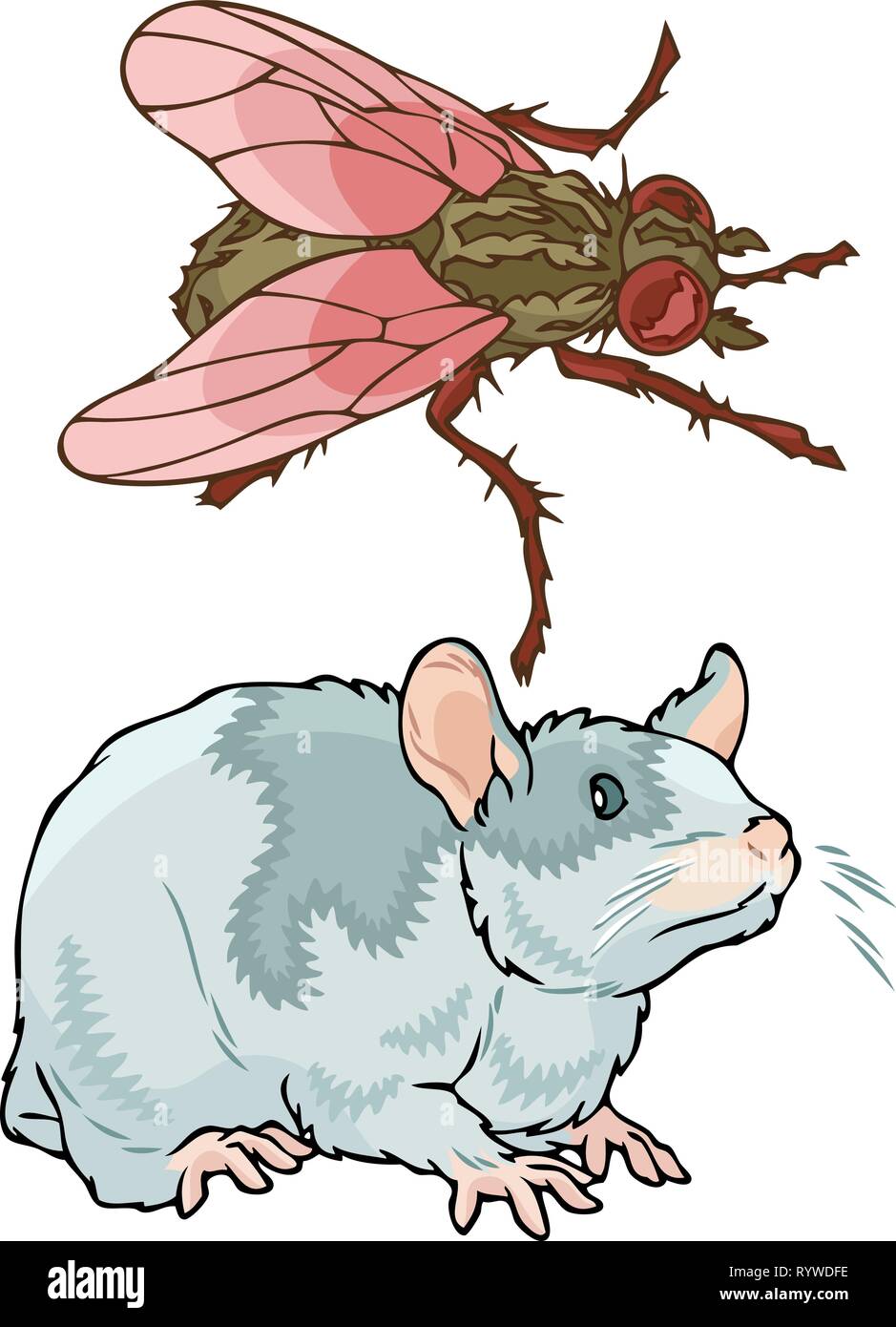 Flea rat hi-res stock photography and images - Alamy