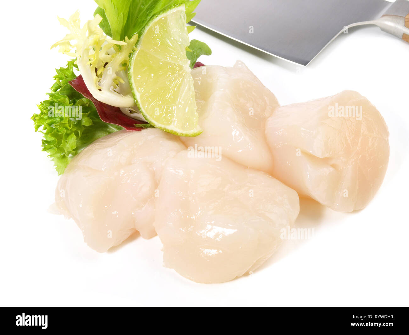 Scallops on white Background Stock Photo - Alamy